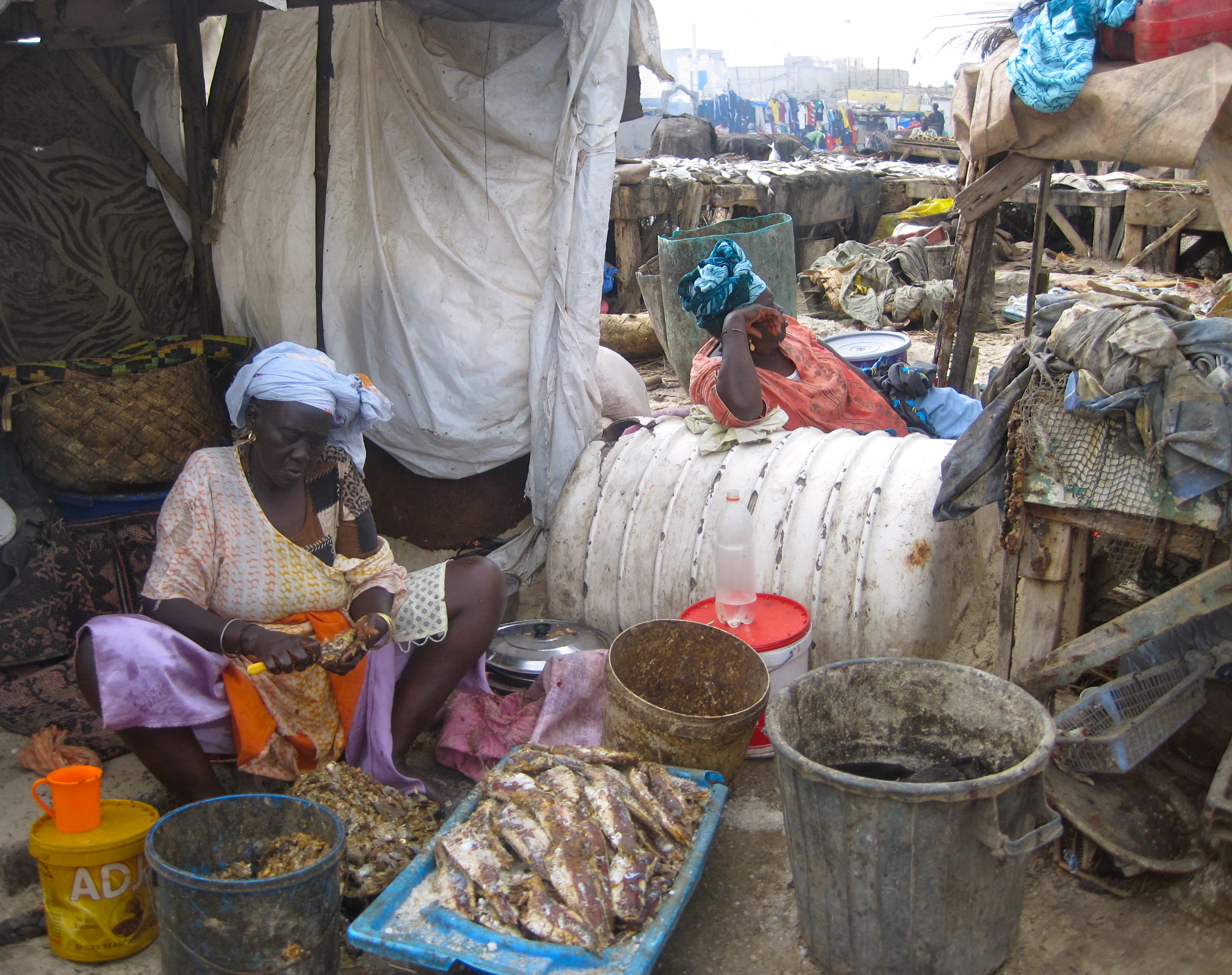 WomanStats Abroad Part Three: Stories from Senegal | The WomanStats ...
